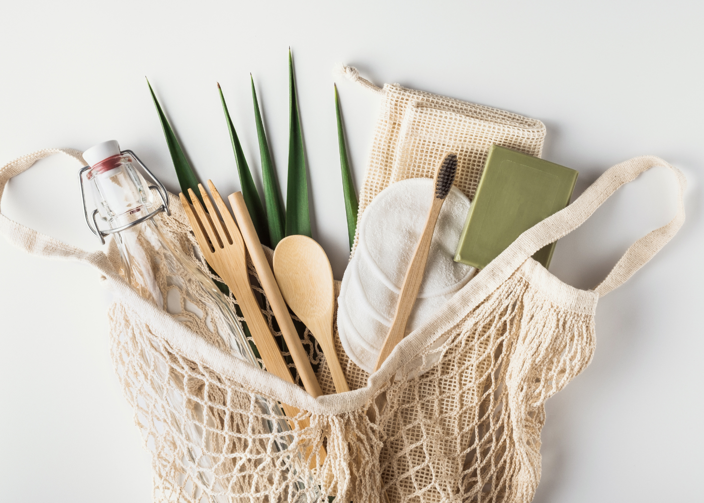 12 simple habits for sustainable living in Singapore | Honeycombers