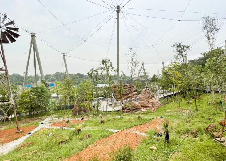 Best things to do at Bird Paradise: Our must-read guide | Honeycombers