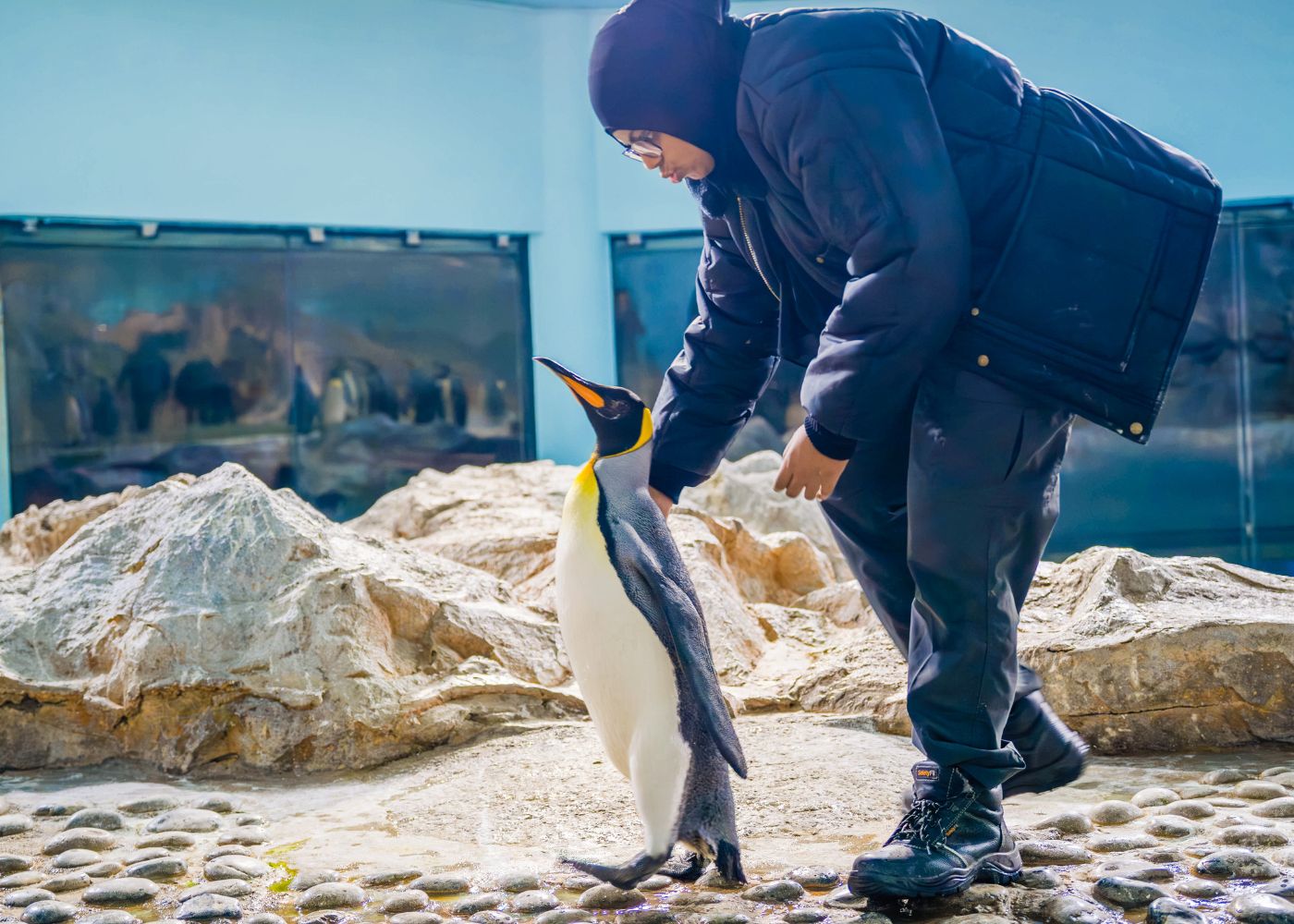 Best things to do at Bird Paradise: Our must-read guide | Honeycombers