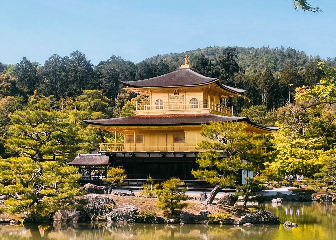 A first timer's guide to Kyoto's best attractions | Honeycombers