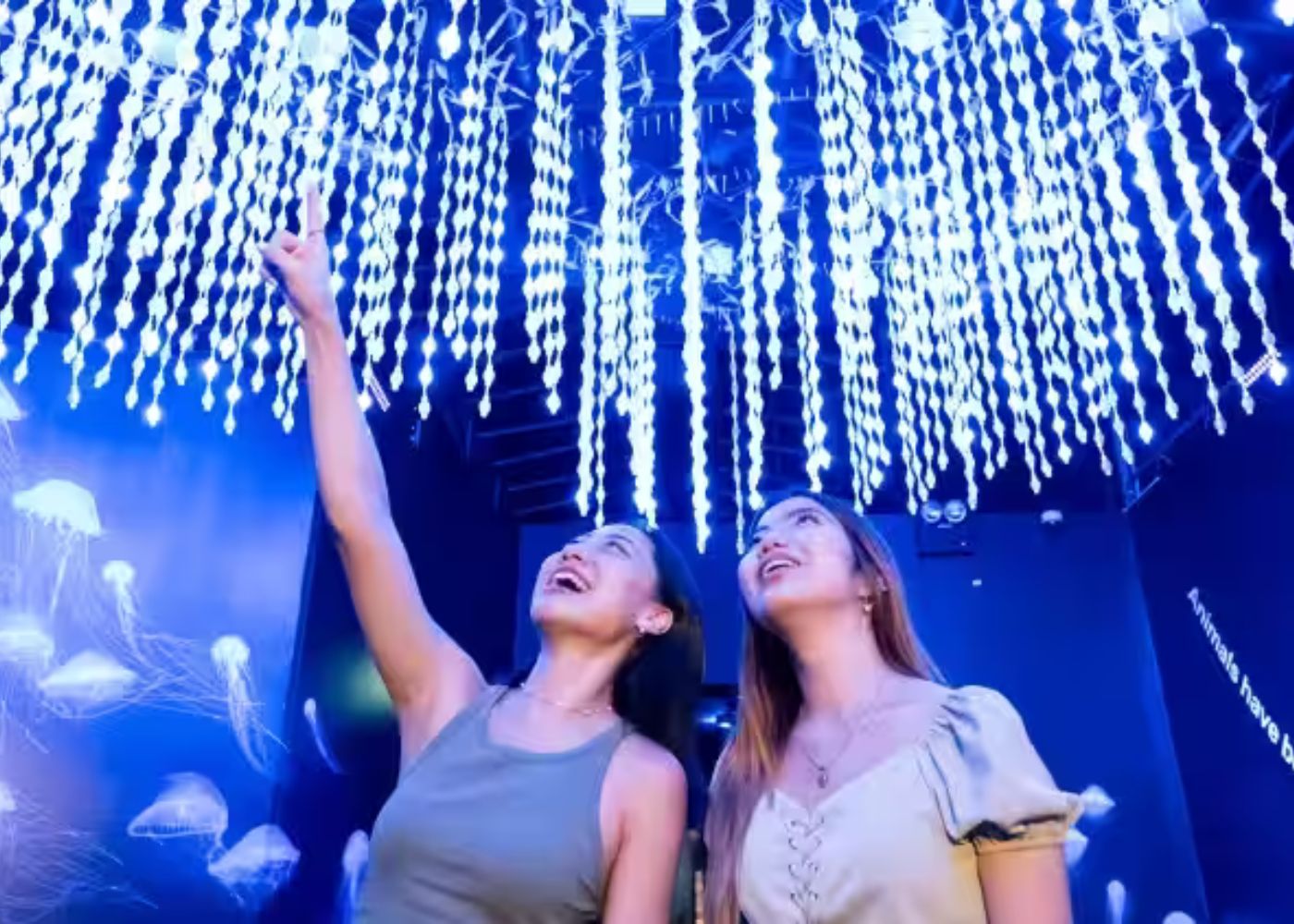 Best new attractions in Singapore [Updated Dec 2023]