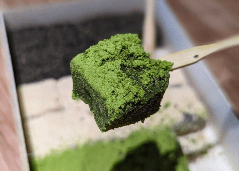 The best warabi mochi and mochi desserts in Singapore | Honeycombers ...