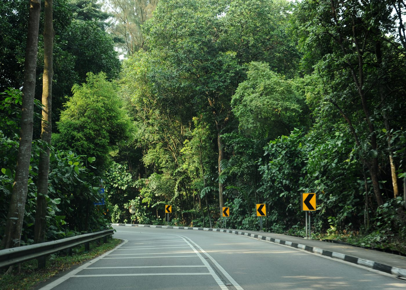 Scenic bus routes in Singapore for unforgettable journeys | Honeycombers