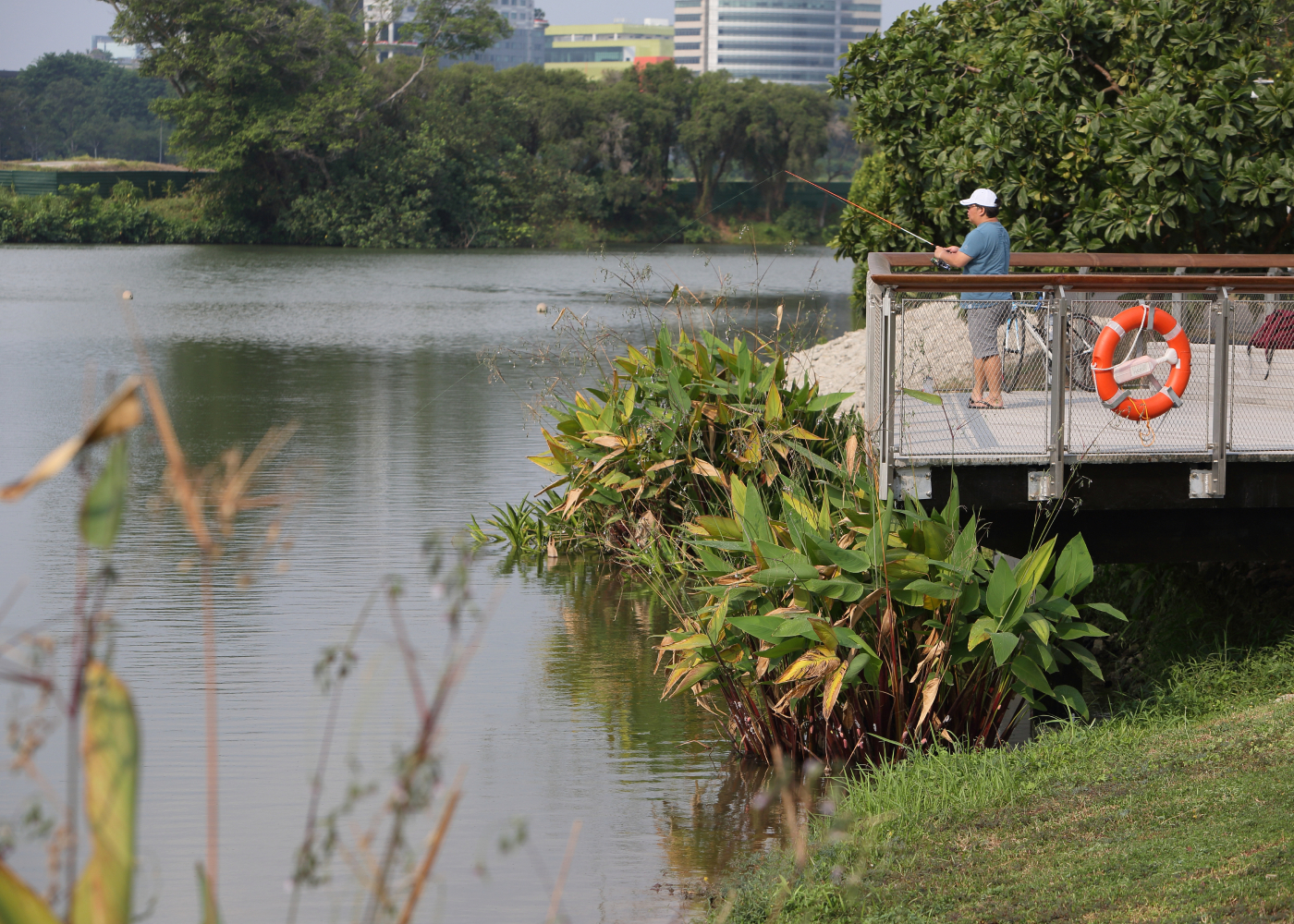 15 best places to go prawning and fishing in Singapore | Honeycombers ...