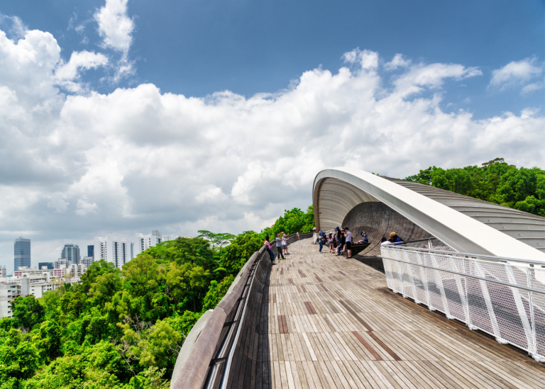 Hiking in Singapore: 28 best walking trails for trekking | Honeycombers