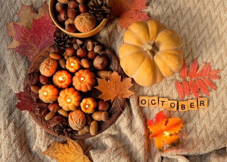 Fun things to do in Singapore: October 2024 | Honeycombers