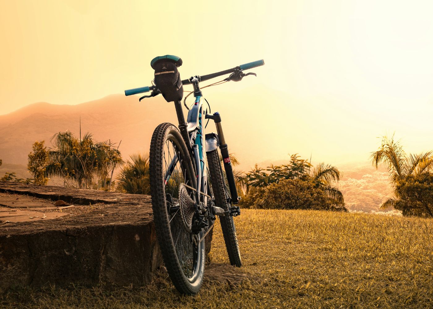 Top 14 lifestyle apps in Singapore to make your life easier | Honeycombers