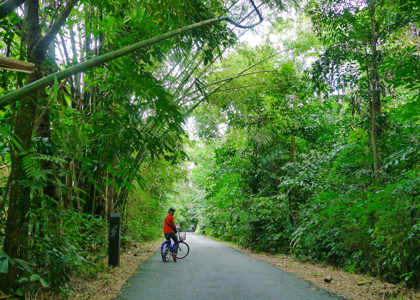 Pulau Ubin guide: Plan the perfect day trip | Honeycombers