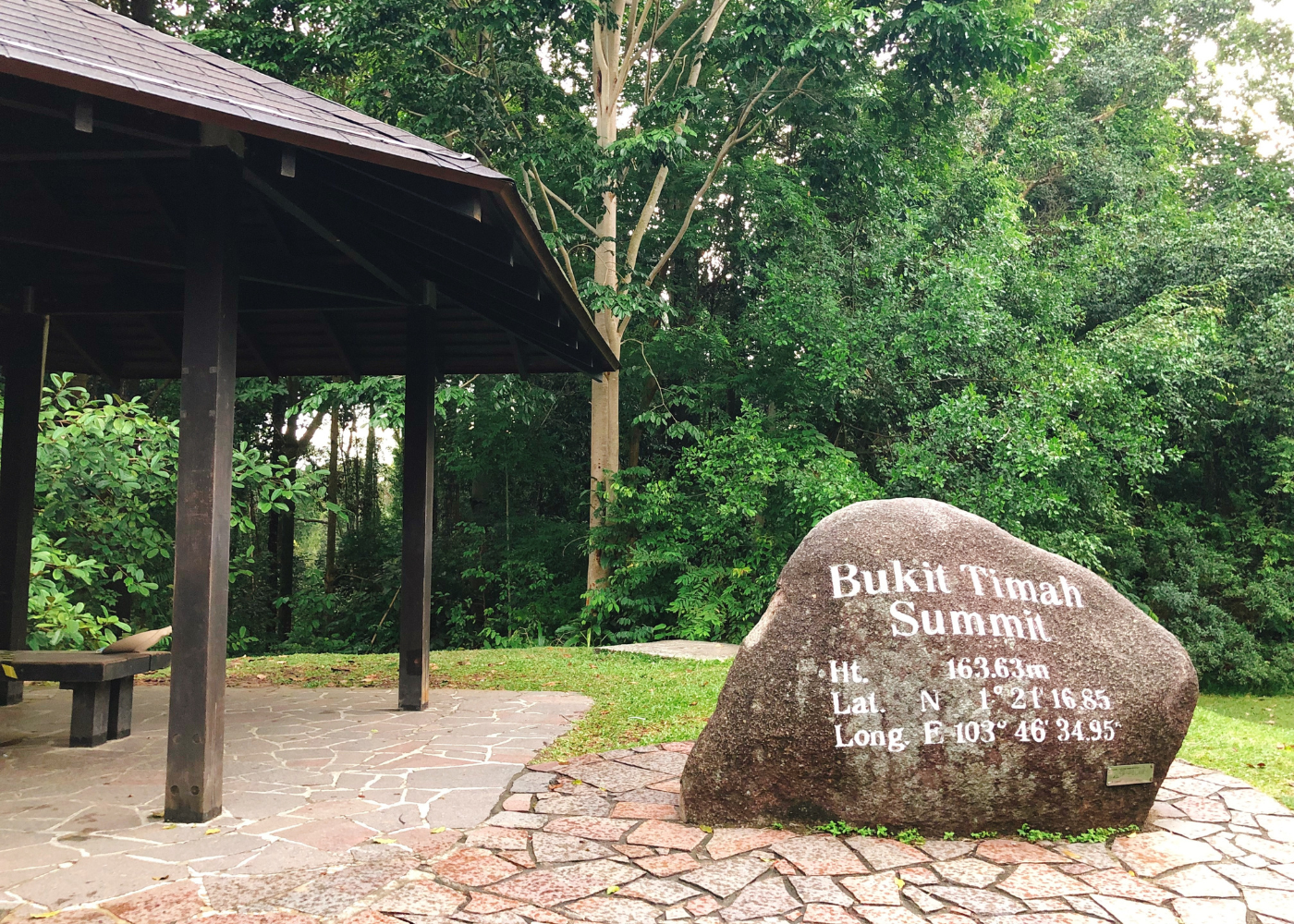 23 Lush Hiking Trails in Singapore: From Easy to Challenging