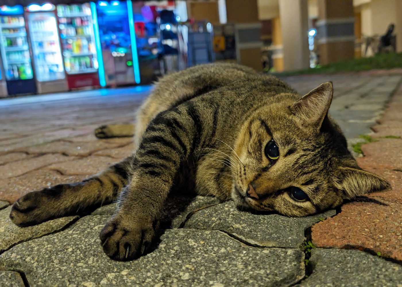 Review: Is Google Pixel 8 Pro the best phone right now?