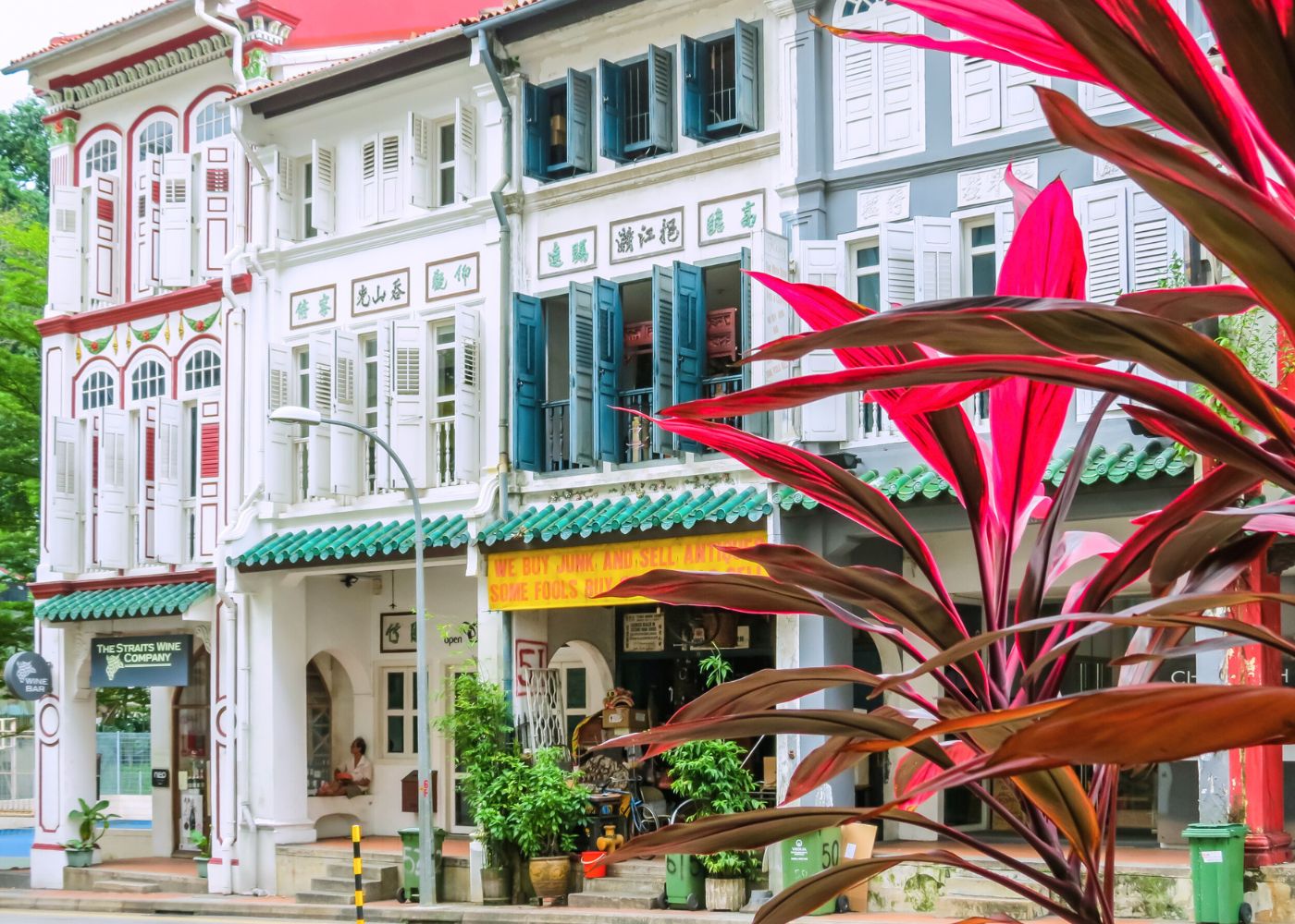 The most beautiful streets in Singapore for a walk to remember