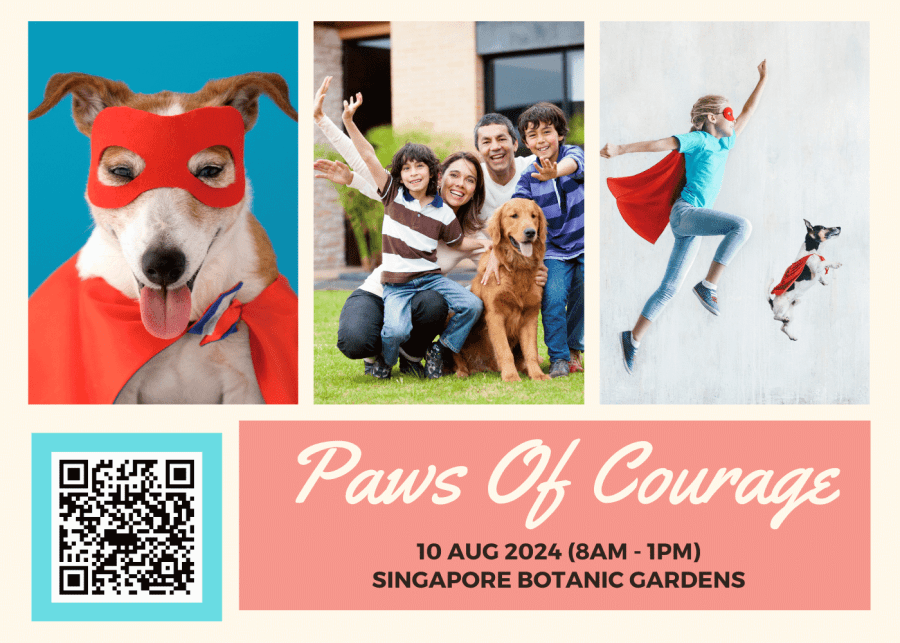 All Kids Events in Singapore | Honeycombers