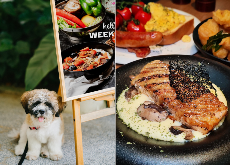 20 Best Dog-Friendly Cafes and Restaurants in Singapore