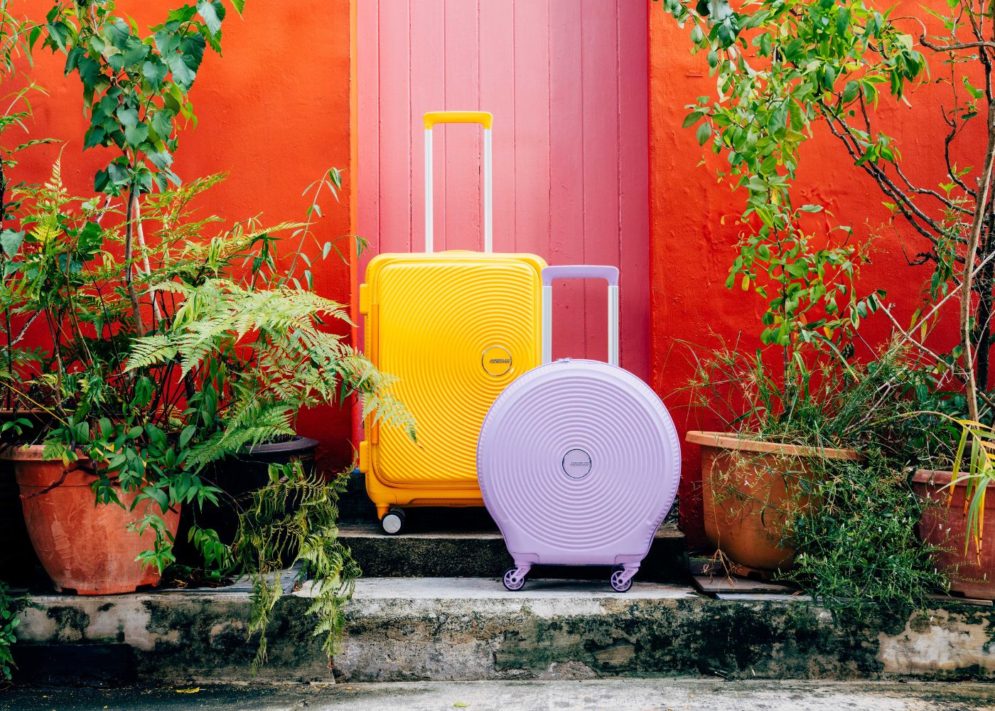Best American Tourister luggage designs for every kind of traveller ...