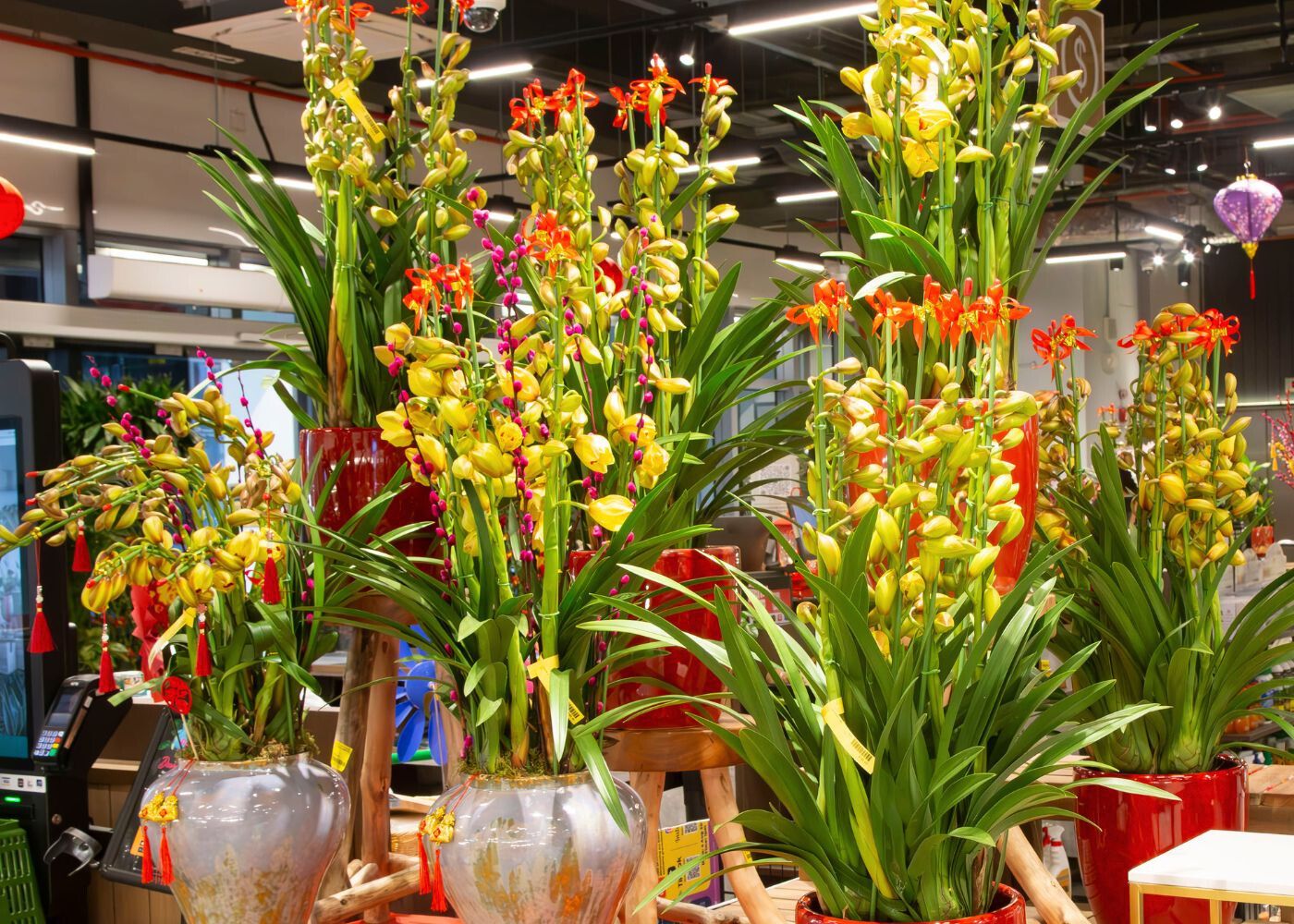 8 Best Chinese New Year Flower Decorations For Good Fortune
