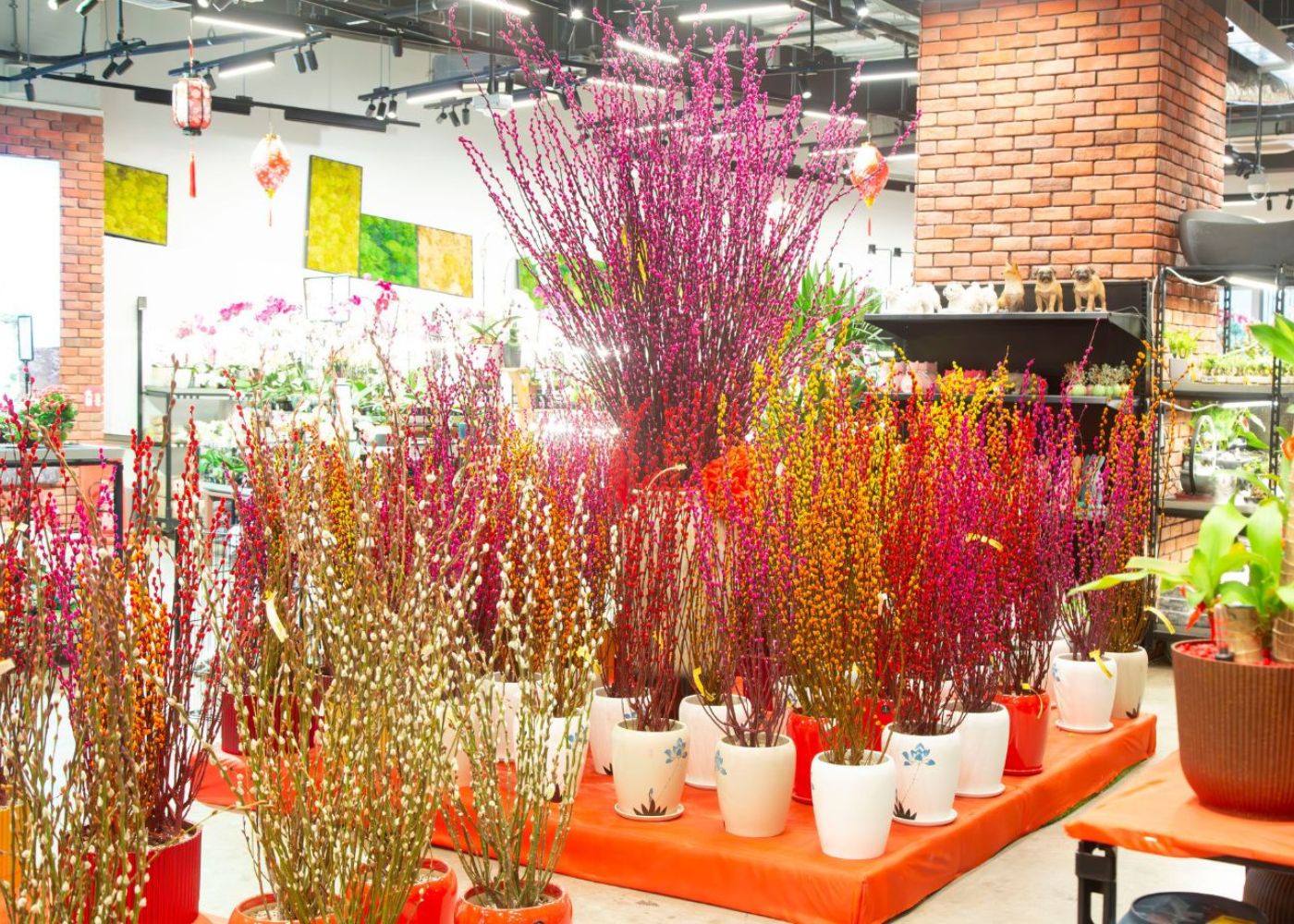 8 Best Chinese New Year Flower Decorations For Good Fortune