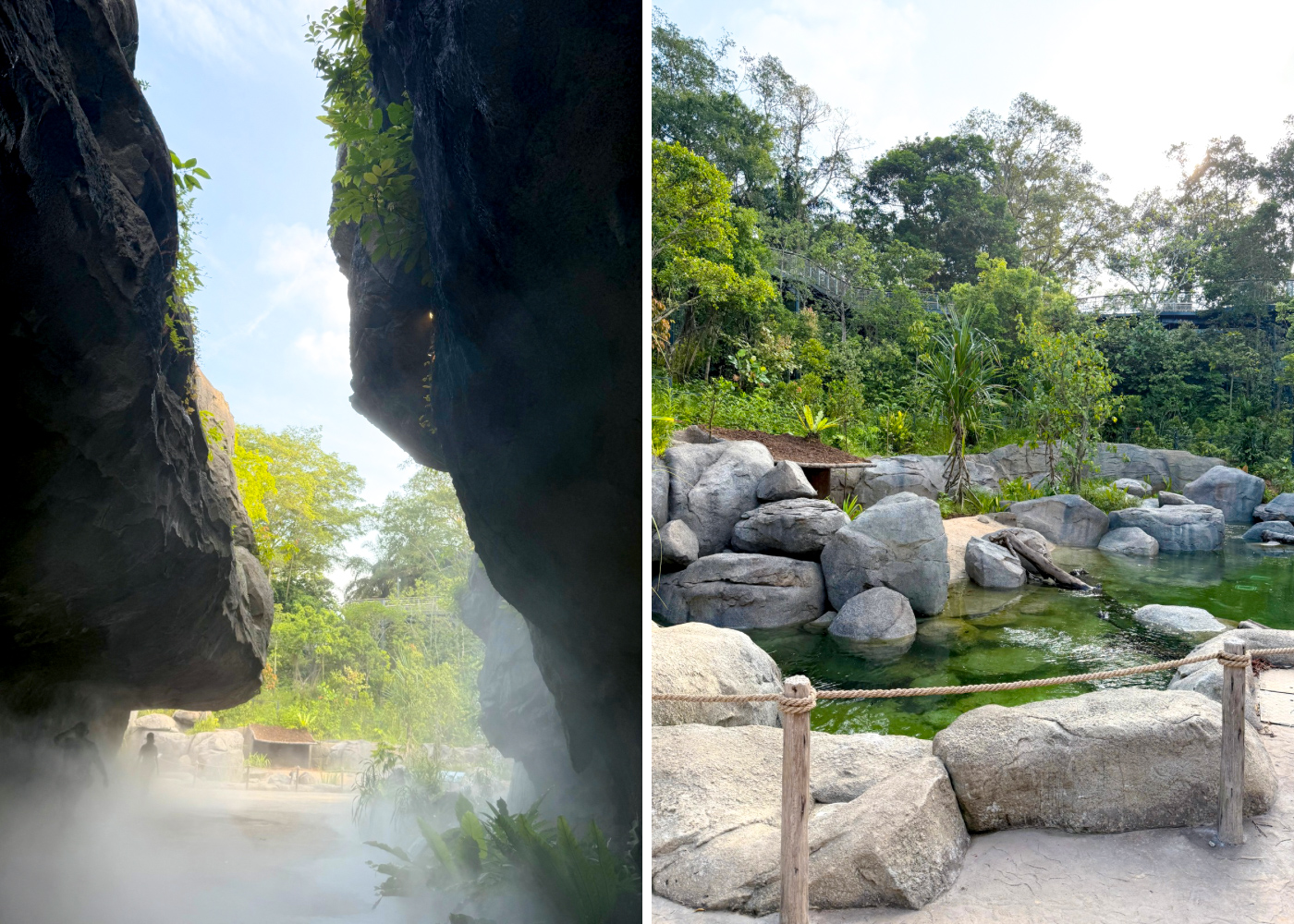 The Ultimate Guide To Rainforest Wild Asia in Singapore
