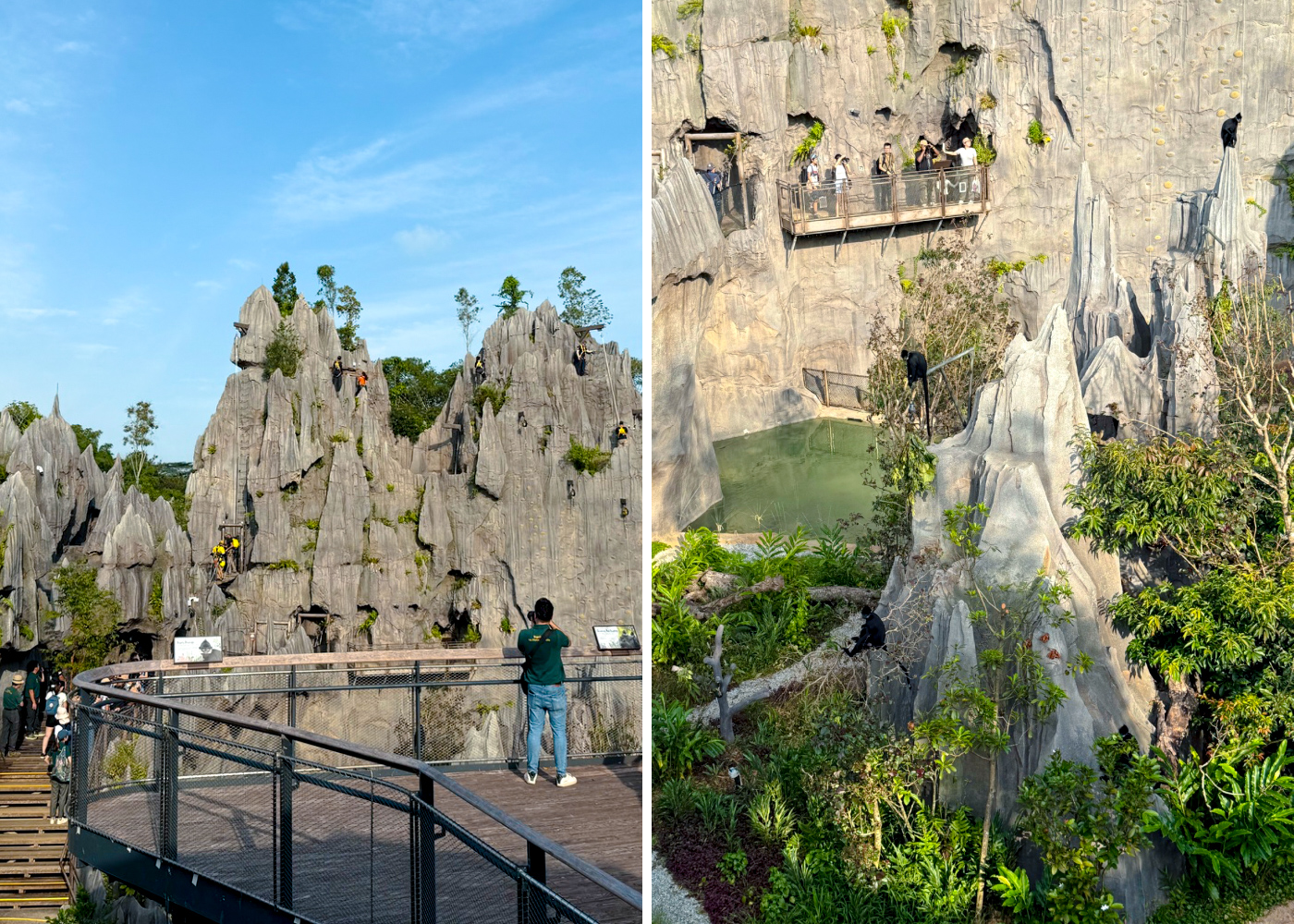 The Ultimate Guide To Rainforest Wild Asia in Singapore