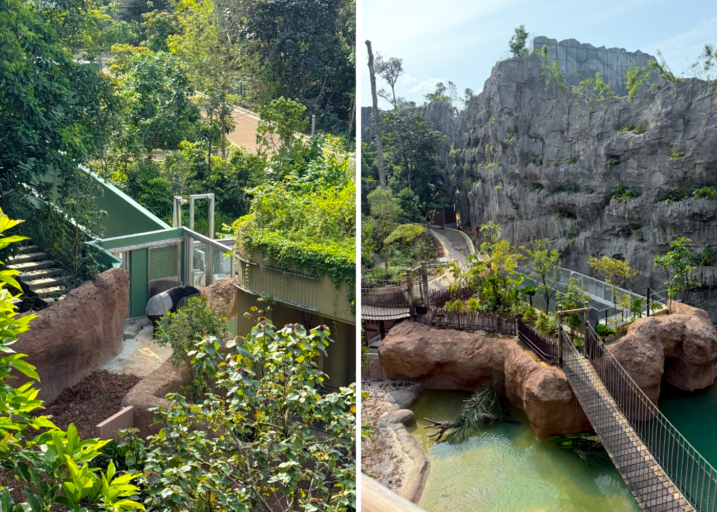 The Ultimate Guide To Rainforest Wild Asia in Singapore