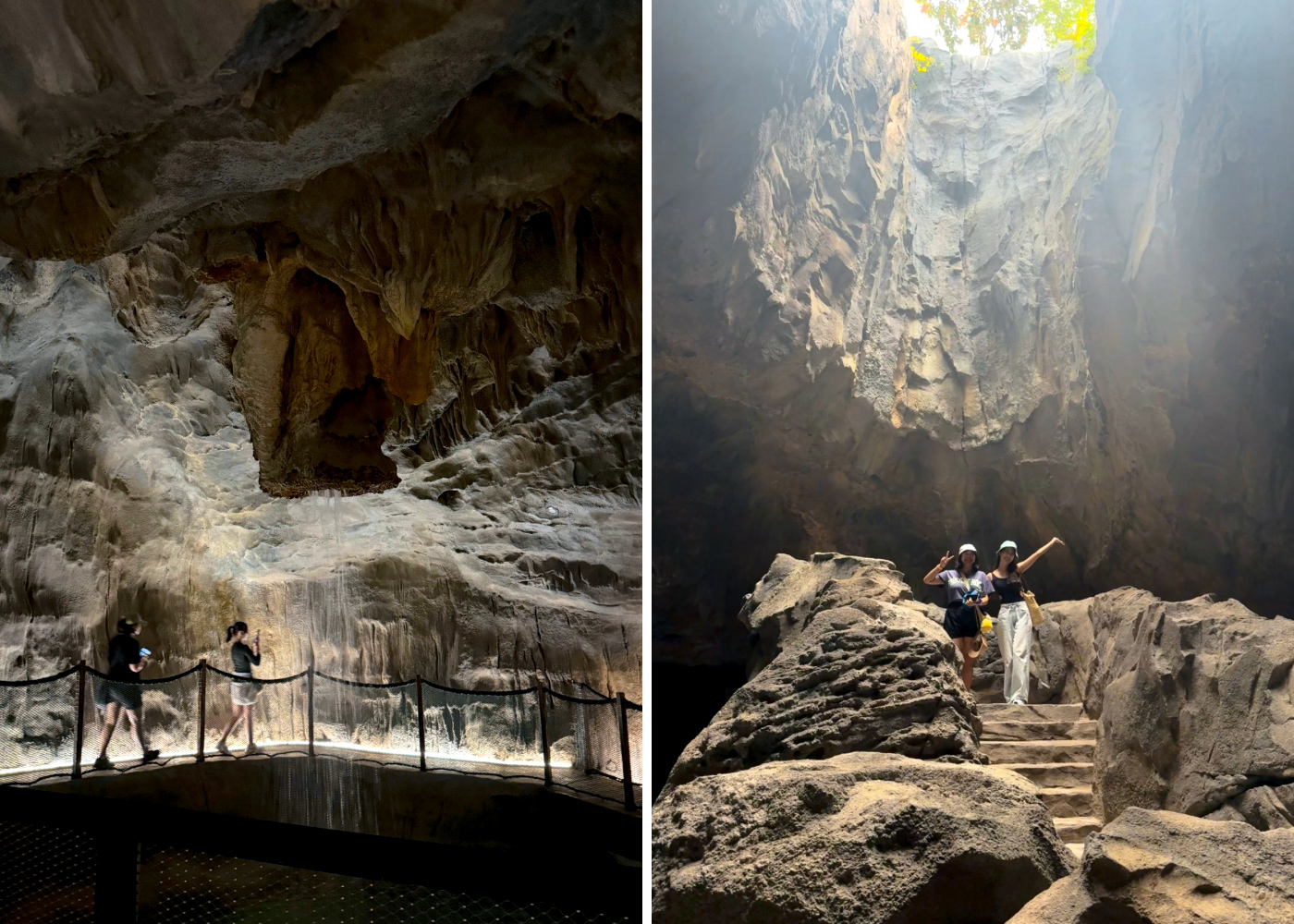 The Ultimate Guide To Rainforest Wild Asia in Singapore