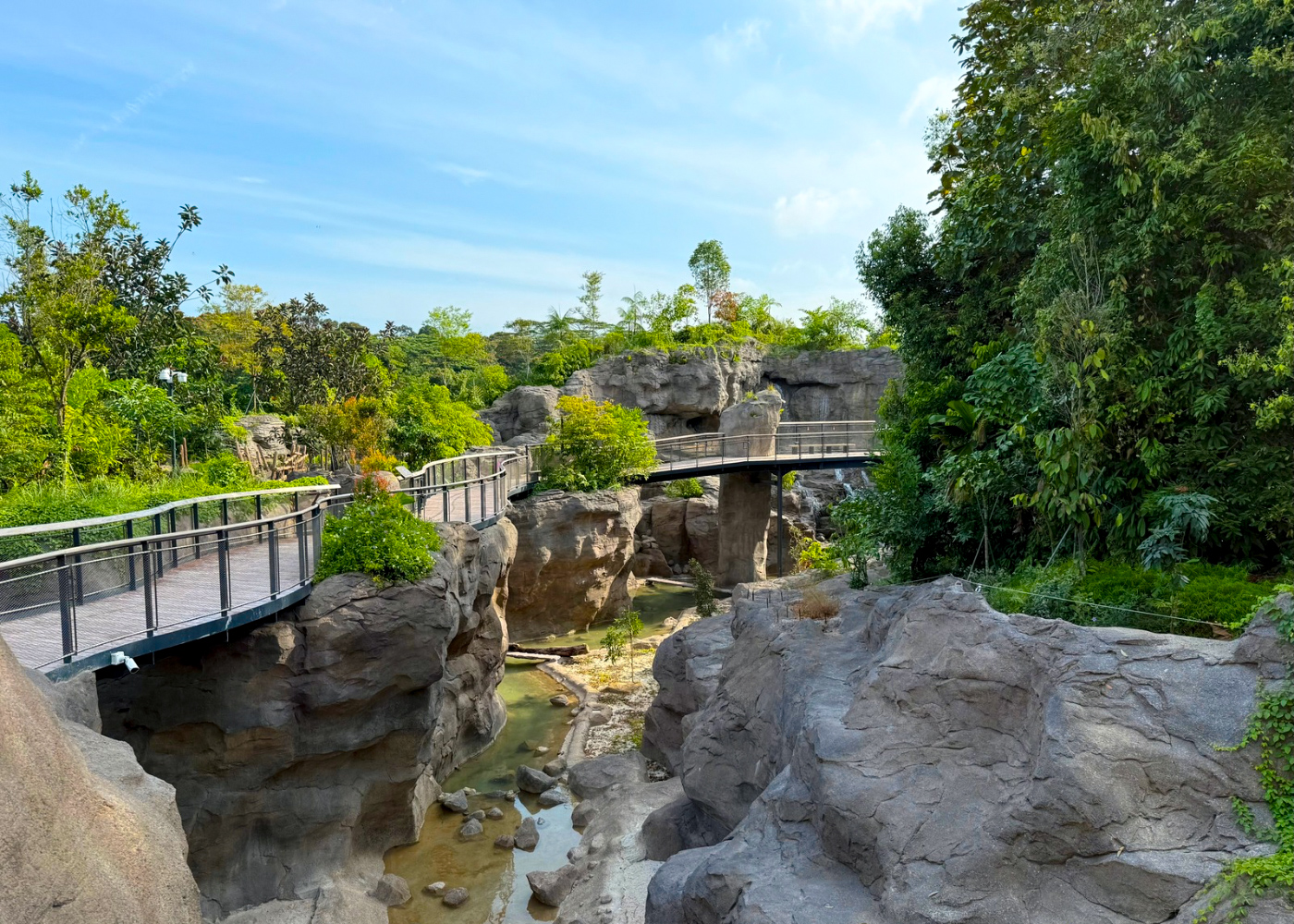 The Ultimate Guide To Rainforest Wild Asia in Singapore