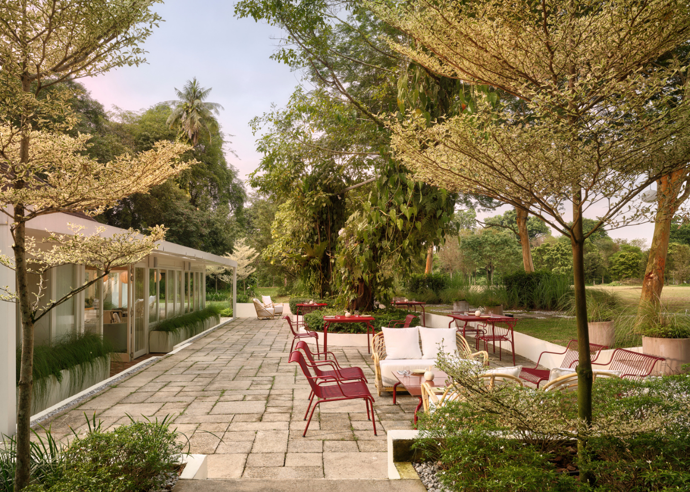 La Terrace Review: Affordable Michelin-Starred Dishes Await
