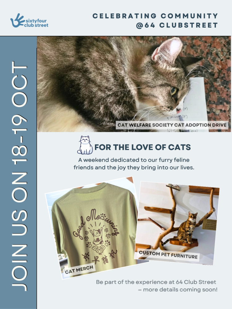 Event: For the Love of Cats | Honeycombers
