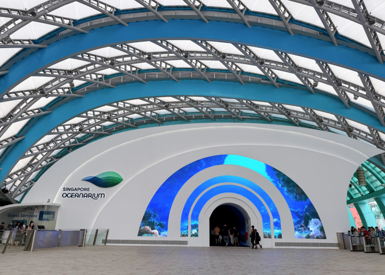 Singapore Oceanarium Insider Experience Review: What To Know
