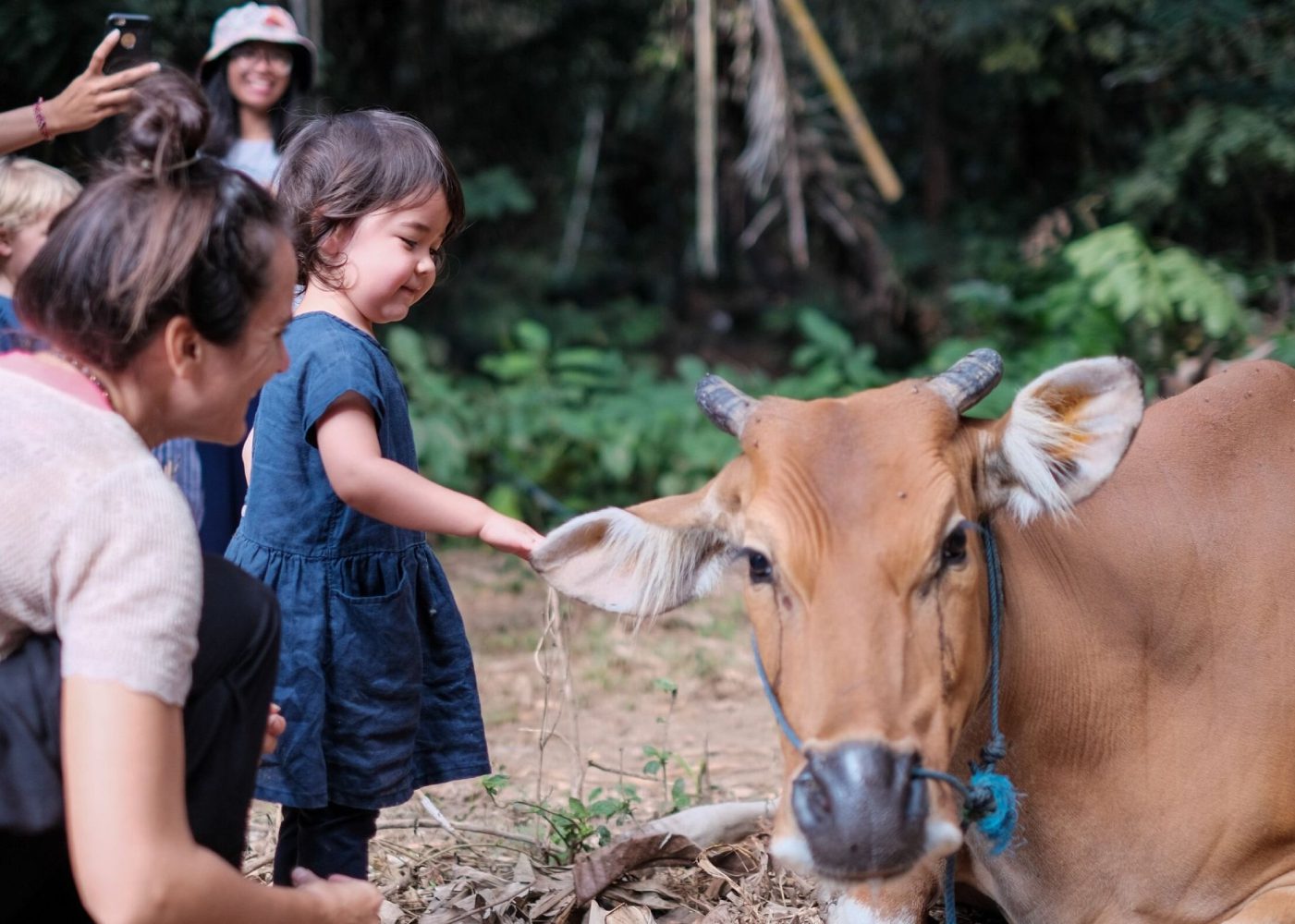 10 best preschools, kindergartens & daycare centres in Bali