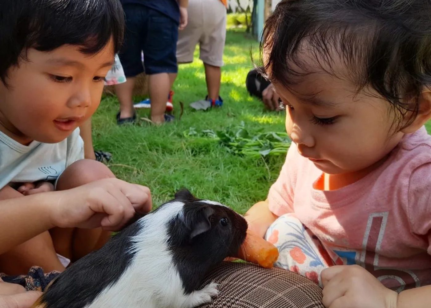 10 best preschools, kindergartens & daycare centres in Bali