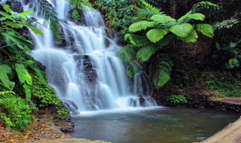 16 BEST WATERFALLS IN BALI TO VISIT IN 2022 | Honeycombers