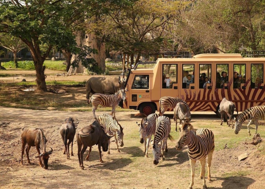 79 AWESOME things to do with kids in Bali – 2024 | Honeycombers Bali