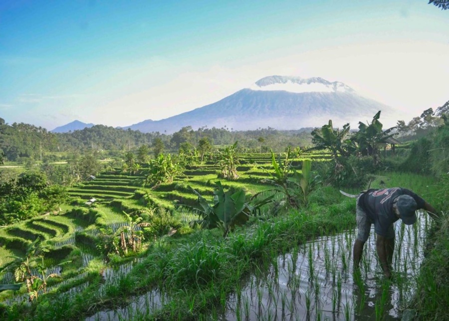 Sidemen Valley Guide: Things to do & where to stay | Honeycombers Bali