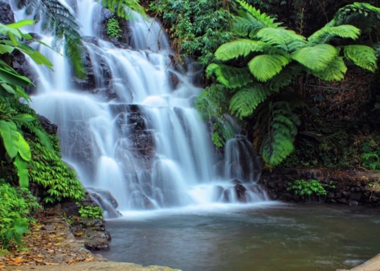 19 best waterfalls in Bali to visit in 2026 (with Maps!)