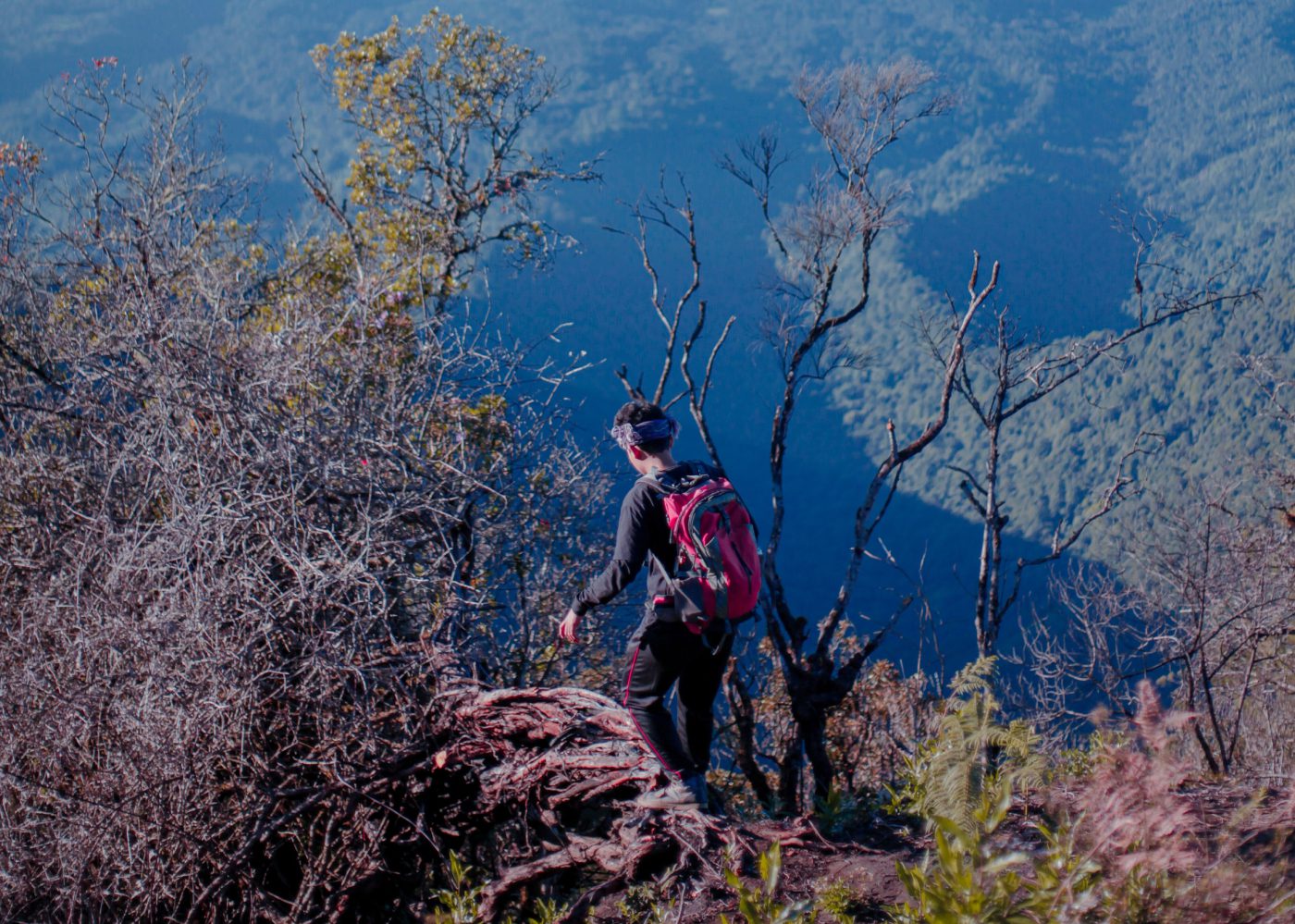 Volcanoes & mountains in Bali: Top 8 hiking trails | Honeycombers Bali