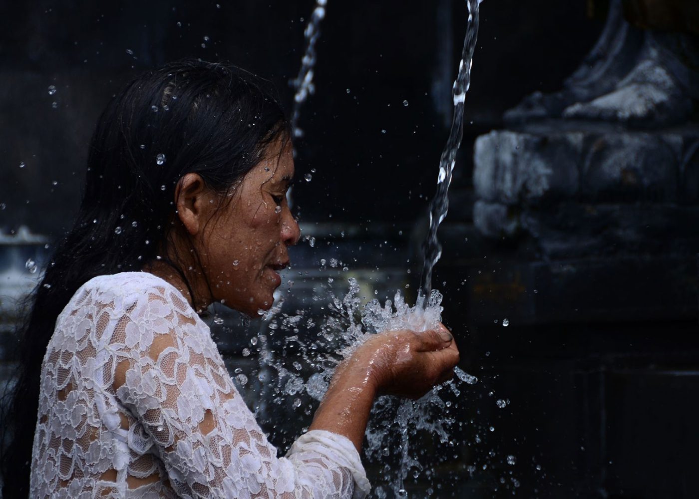 Eco charities + environmental organisations in Bali | Honeycombers