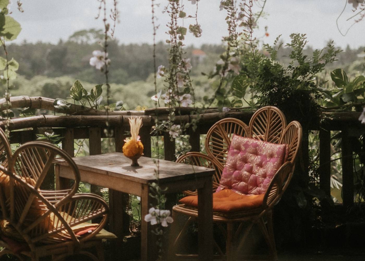 Where to eat in Ubud – 37 Best Restaurants You Can't Miss