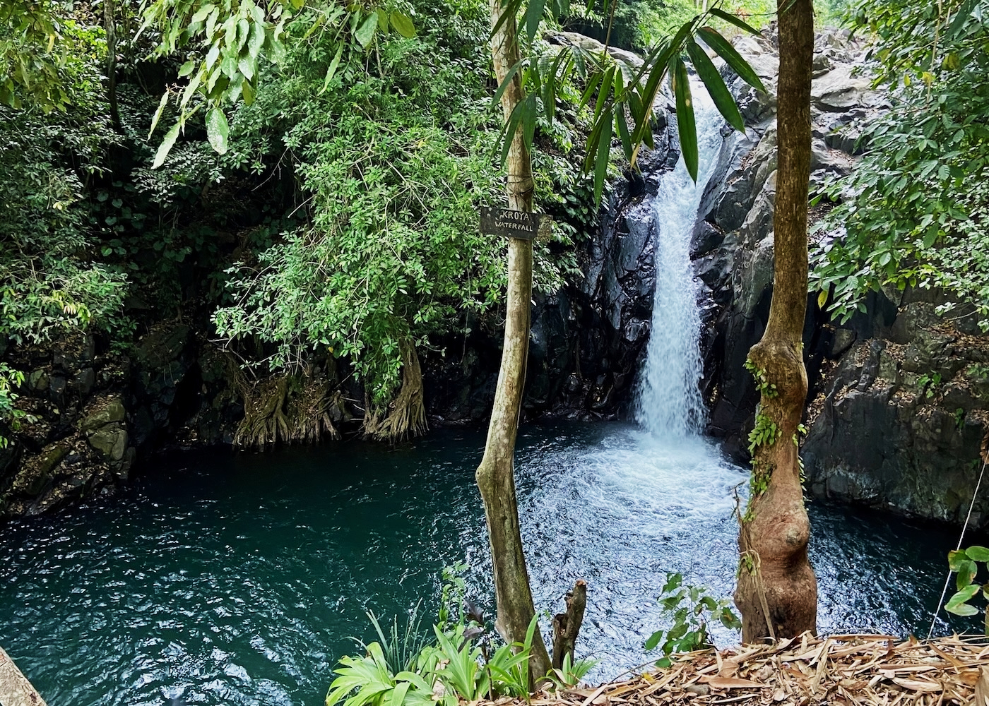 19 best waterfalls in Bali to visit in 2026 (with Maps!)
