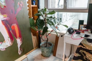 Thierry Chow on feng shui and superstition | Honeycombers