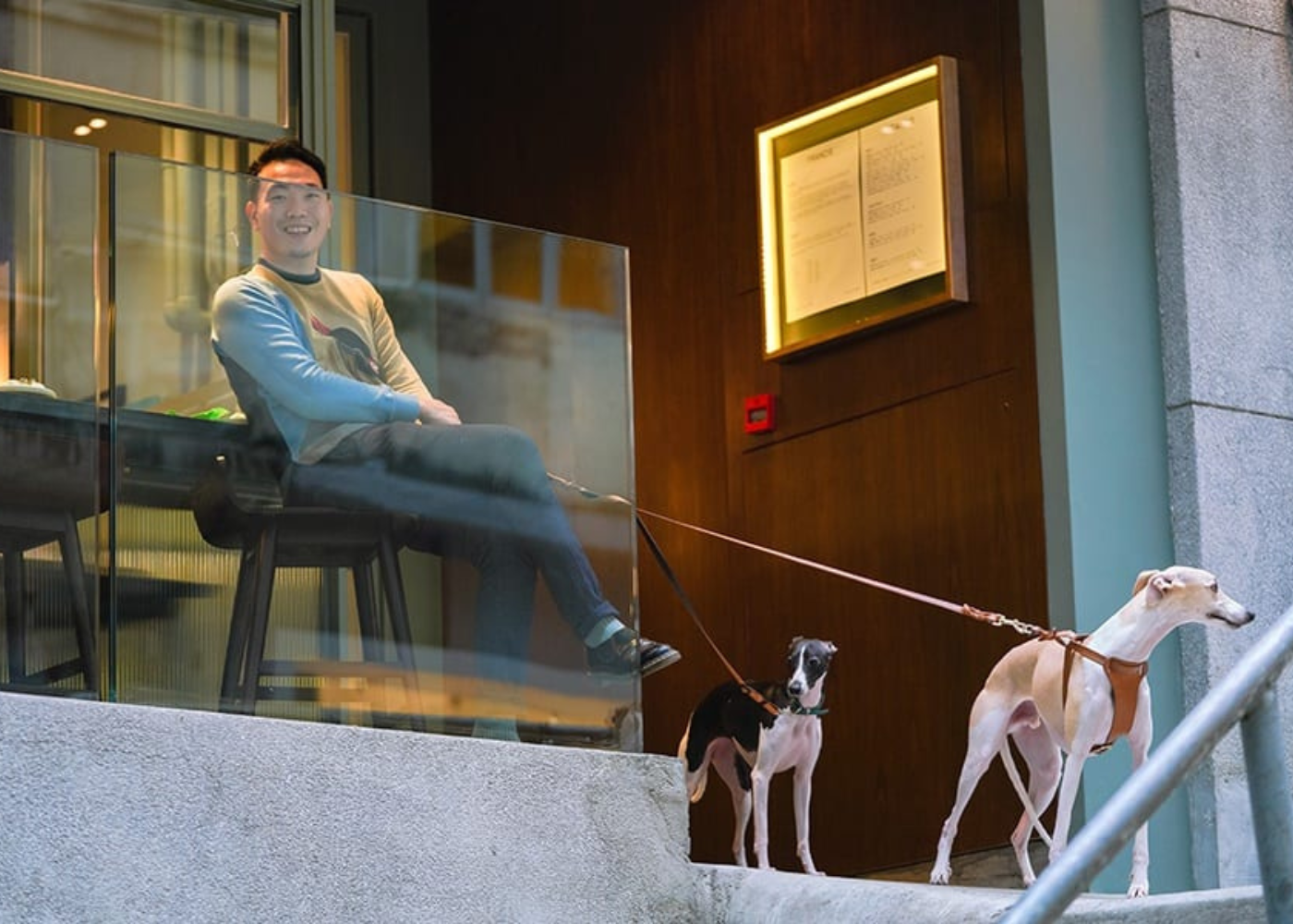 Wagyu and Walnut the whippets share their lives in Wan Chai | Honeycombers