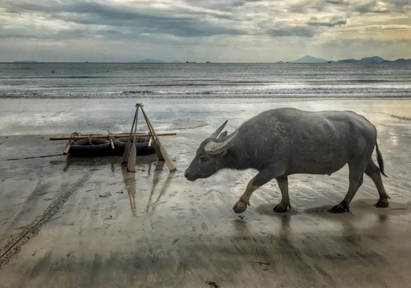 The 10 best things to do in Lantau | Honeycombers