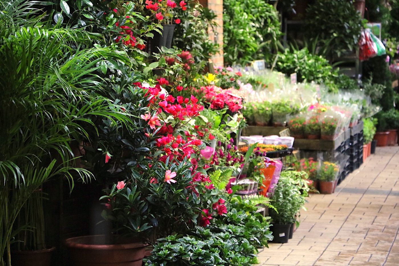 We know the ins and outs of the Flower Market | Honeycombers