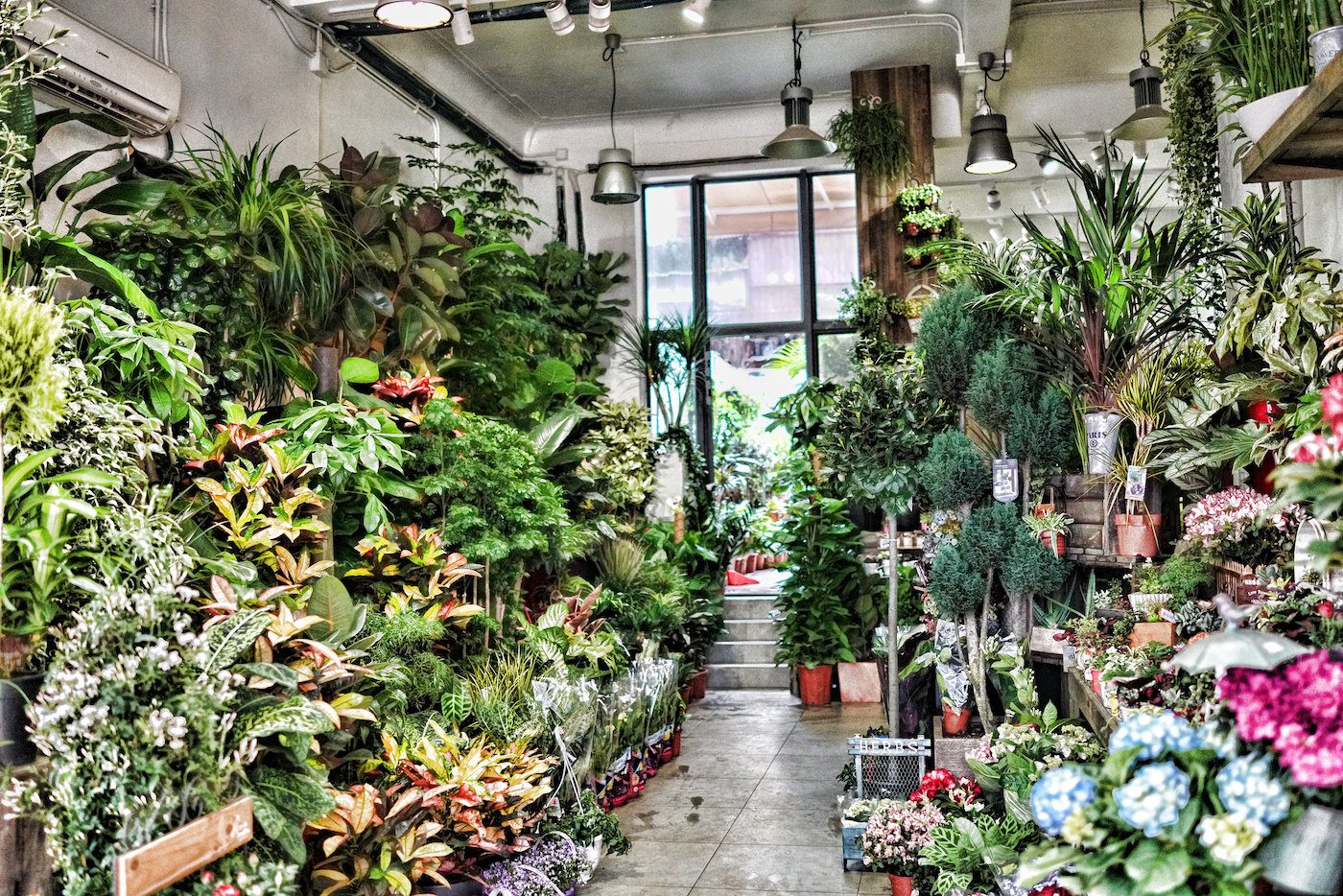 We know the ins and outs of the Flower Market | Honeycombers