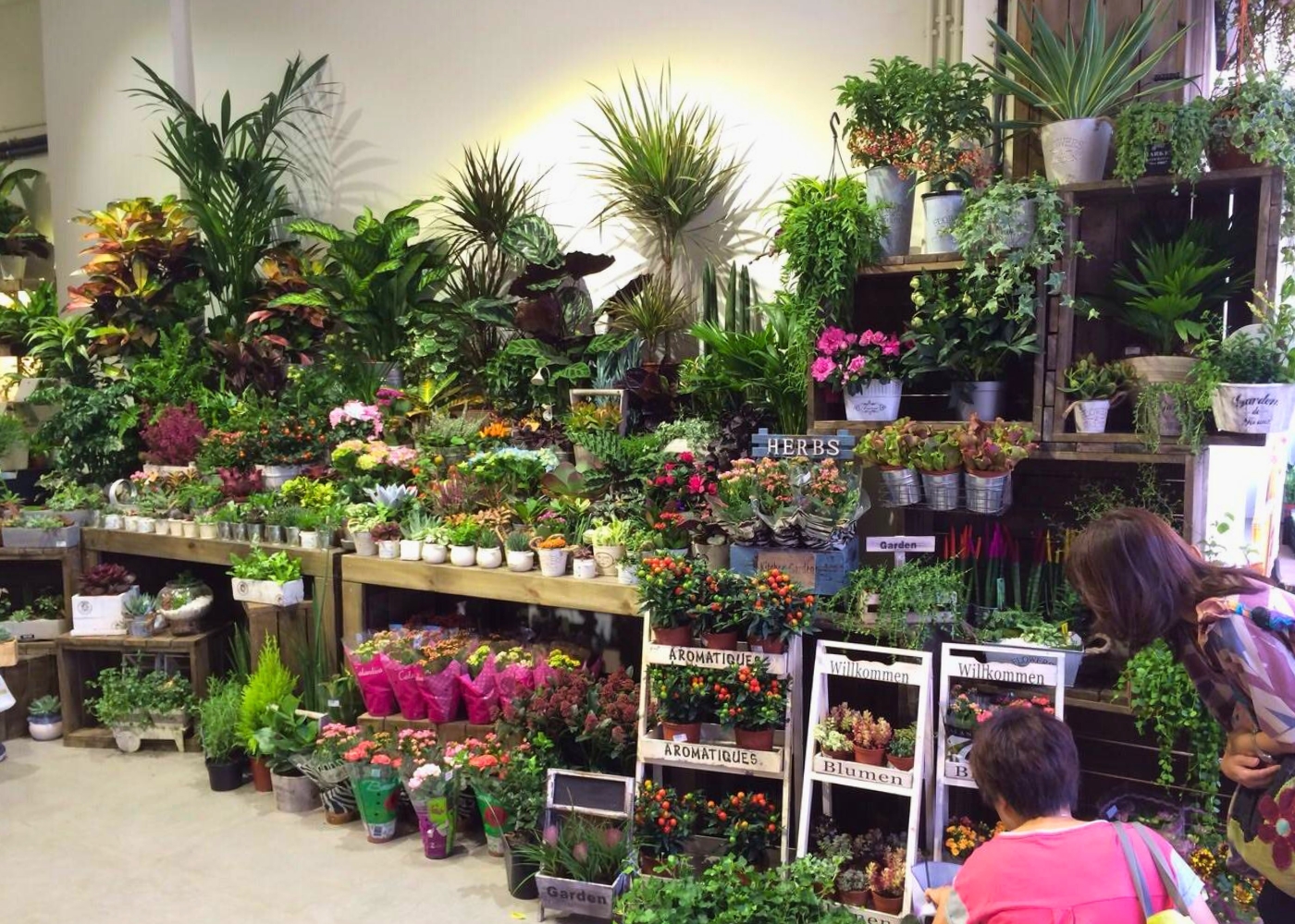 Your local guide to the Hong Kong Flower Market