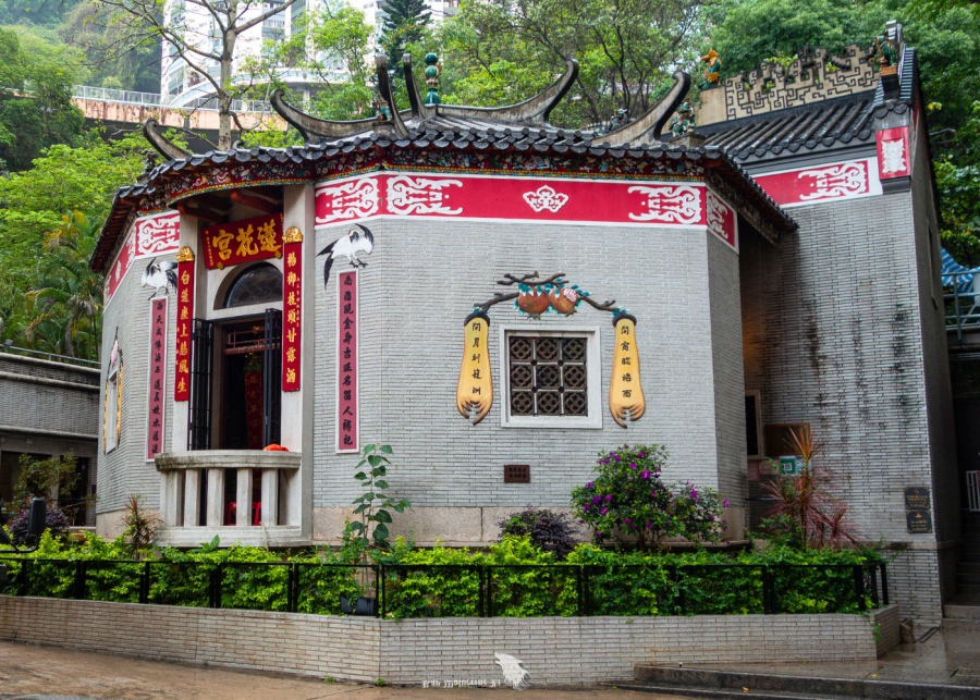 A local’s guide to Tai Hang, Hong Kong | Honeycombers