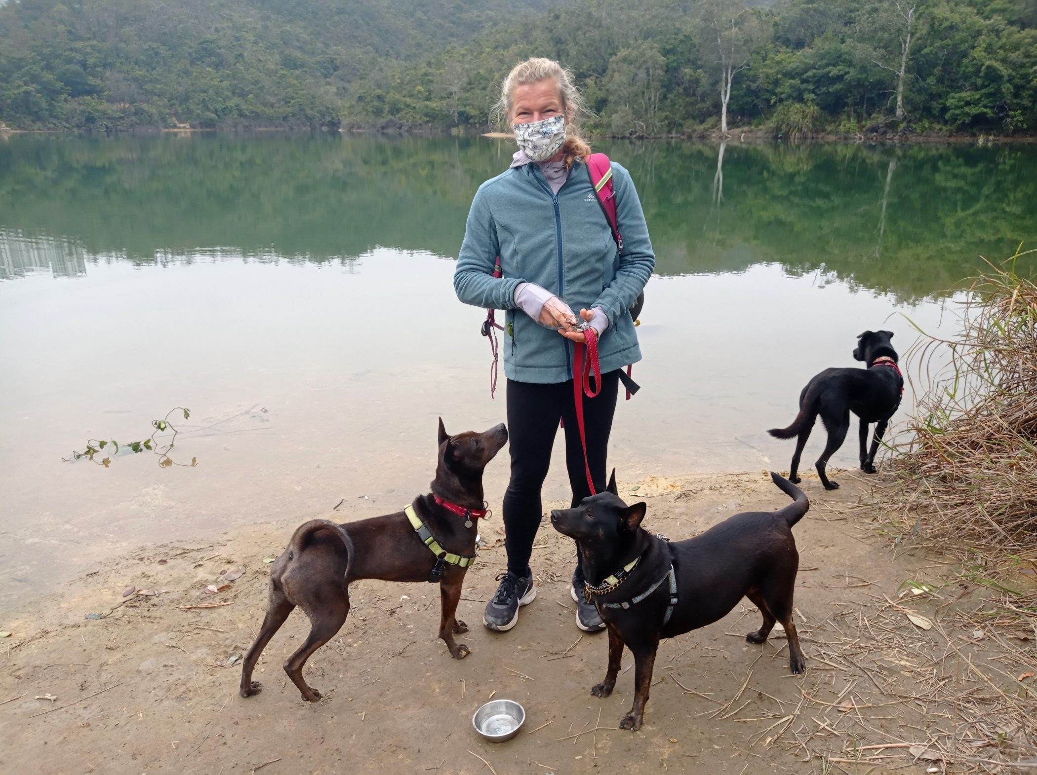 Top tips for new dog owners | Honeycombers Hong Kong