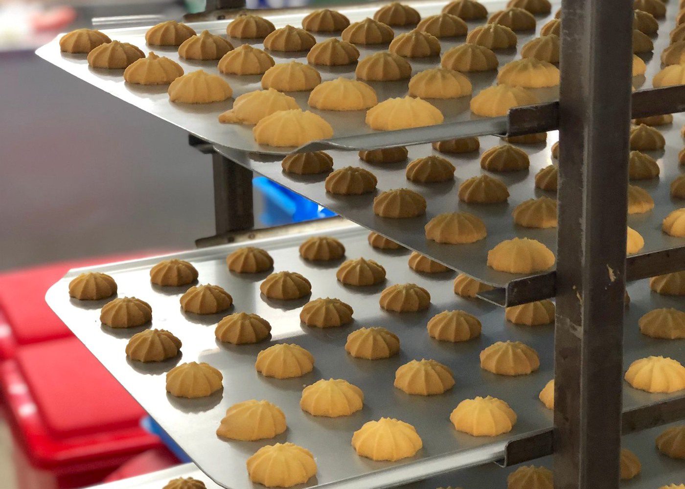 Social enterprises in Hong Kong that help the community | Honeycombers