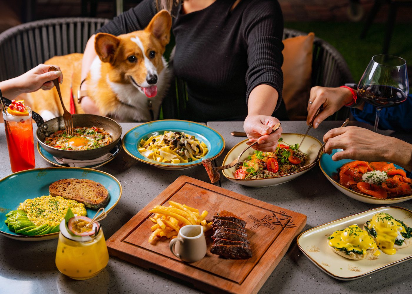 28 dog-friendly cafes in Hong Kong that we love | Honeycombers