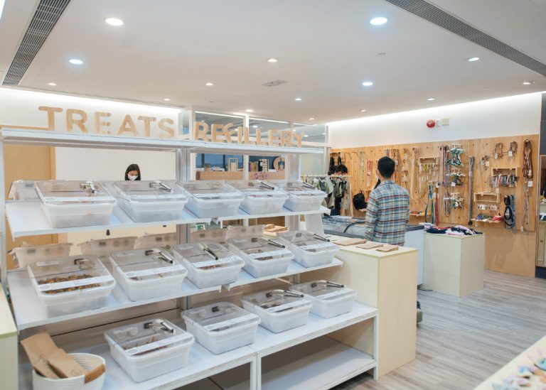 The best pet supply stores in Hong Kong | Honeycombers