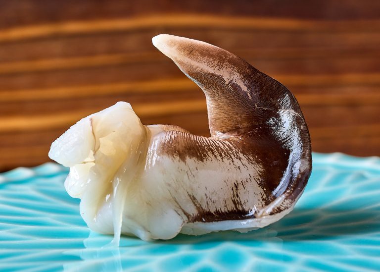 A review of Sushi Rin: Fresh and flavourful omakase | Honeycombers